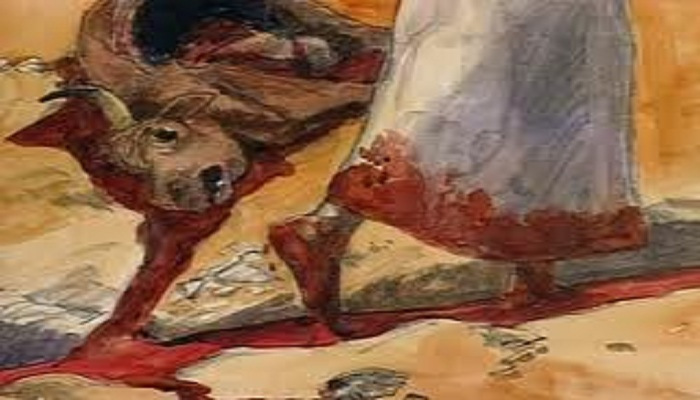 The Promise of a Lamb: The Connection Between Abraham and the Cross ...