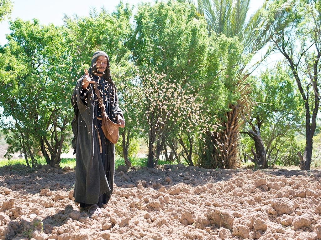 The Parable of the Sower: A Lesson for the Modern Church ...